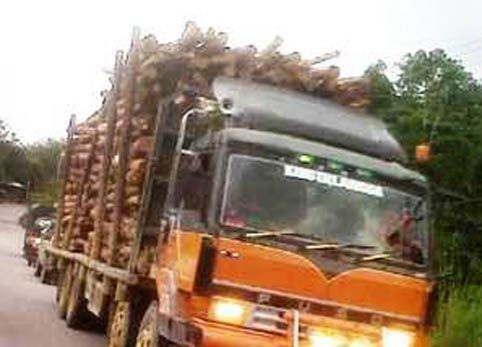 GoRiau - Tak Pernah Peduli, Warga Delik Tahan Mobil Pengangkut Pulp RAPP