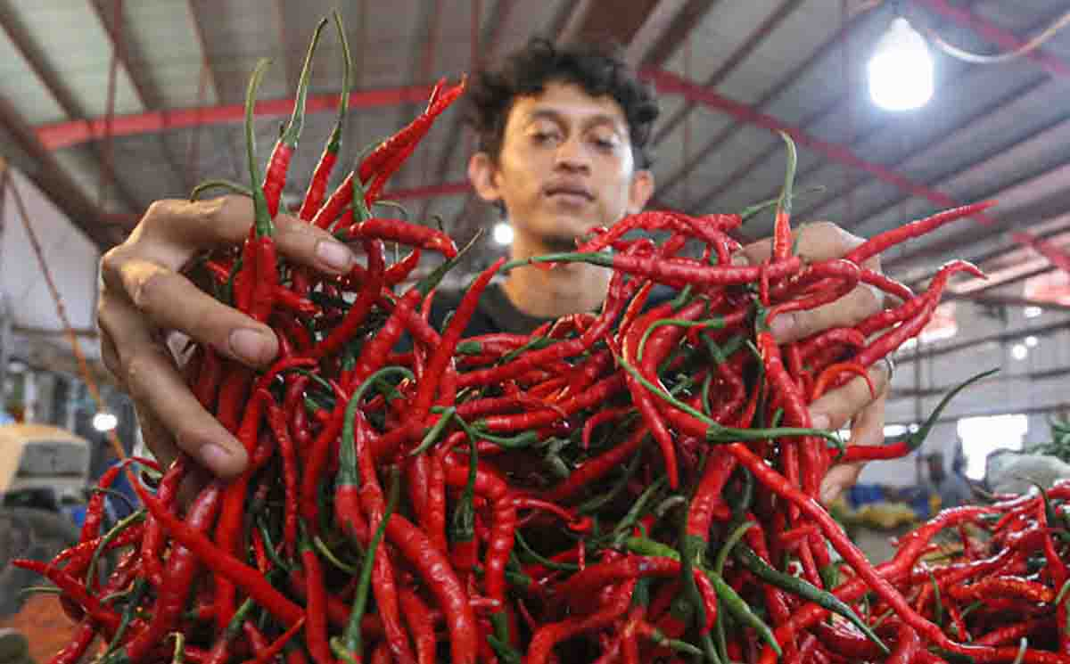 GoRiau - Harga Cabai di Pekanbaru Tembus Rp90 Ribu