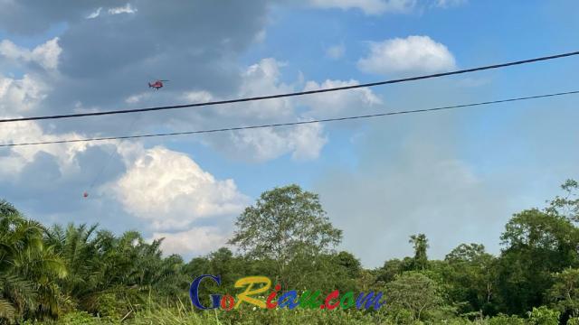 GoRiau - BPBD Riau Kerahkan Helikopter Water Bombing Padamkan Kebakaran Lahan di Teratak Buluh