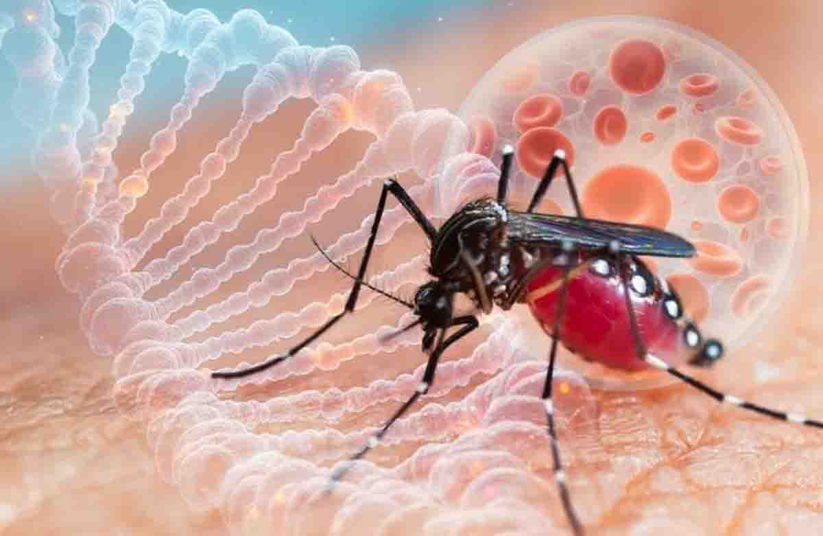 GoRiau - Selama 2024, Tercatat 31 Kasus DBD di Kepulauan Meranti