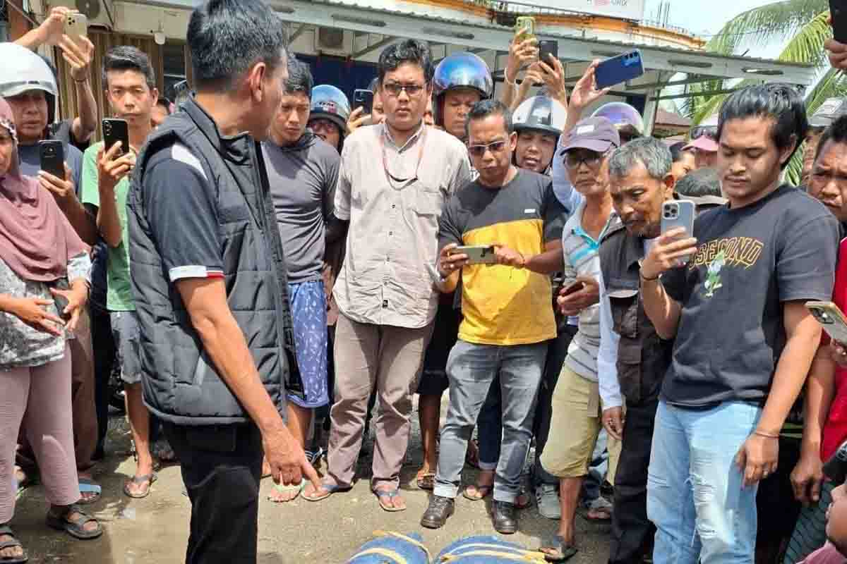 GoRiau - Kejar-kejaran dengan Polisi, Mobil Brio Pembawa 26 Kg Ganja Tabrak Plang Besi