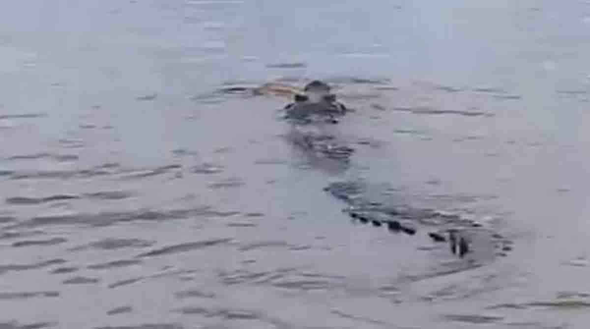 GoRiau - Hilang Saat Mencari Makohe, Remaja Suku Akit Pulau Merbau ...