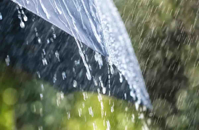 GoRiau - BMKG: Riau Berpotensi Hujan Lebat Disertai Petir dan Angin Kencang pada 20 Maret 2025