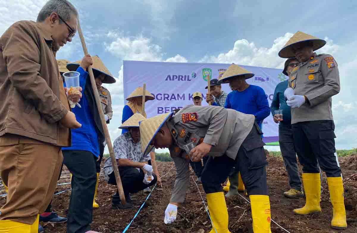 GoRiau - Dari Hutan ke Ladang: Agroforestri Wujudkan Pertanian Berkelanjutan di Dayun
