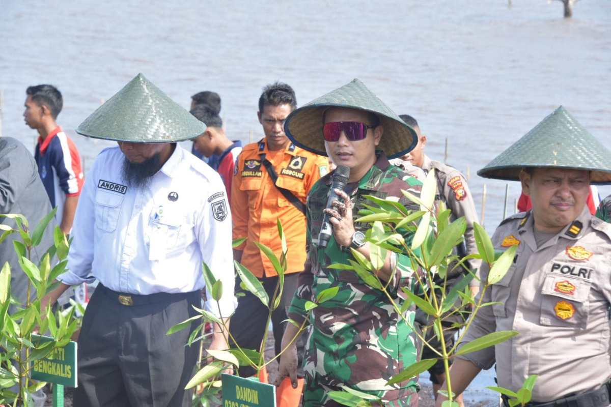 GoRiau - Bupati Bengkalis Sambut Baik Penanaman Mangrove Program ... GoRiau - Bupati Bengkalis Sambut Baik Penanaman Mangrove Program ...