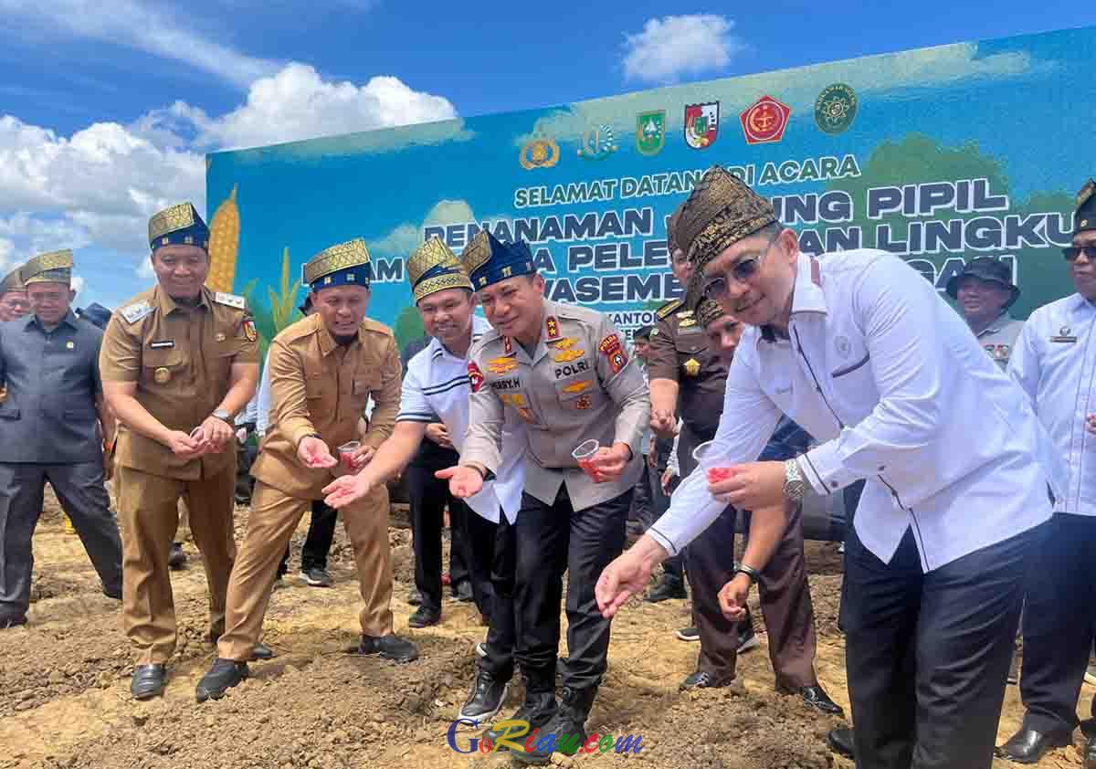GoRiau - Pemko Pekanbaru Tanam 15.000 Pohon dan Jagung, Wujudkan Lahan Produktif dan Lingkungan ...