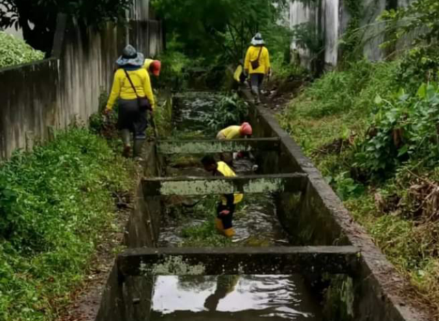 GoRiau - Banyak Drainase Tersumbat Dikarenakan Sampah dan Rumput Liar