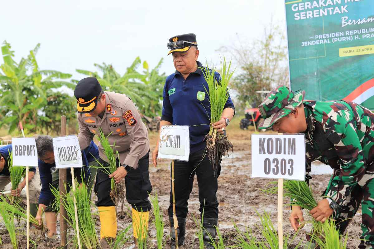 GoRiau - Bupati Asmar Tanam Padi Serentak bersama Presiden Prabowo