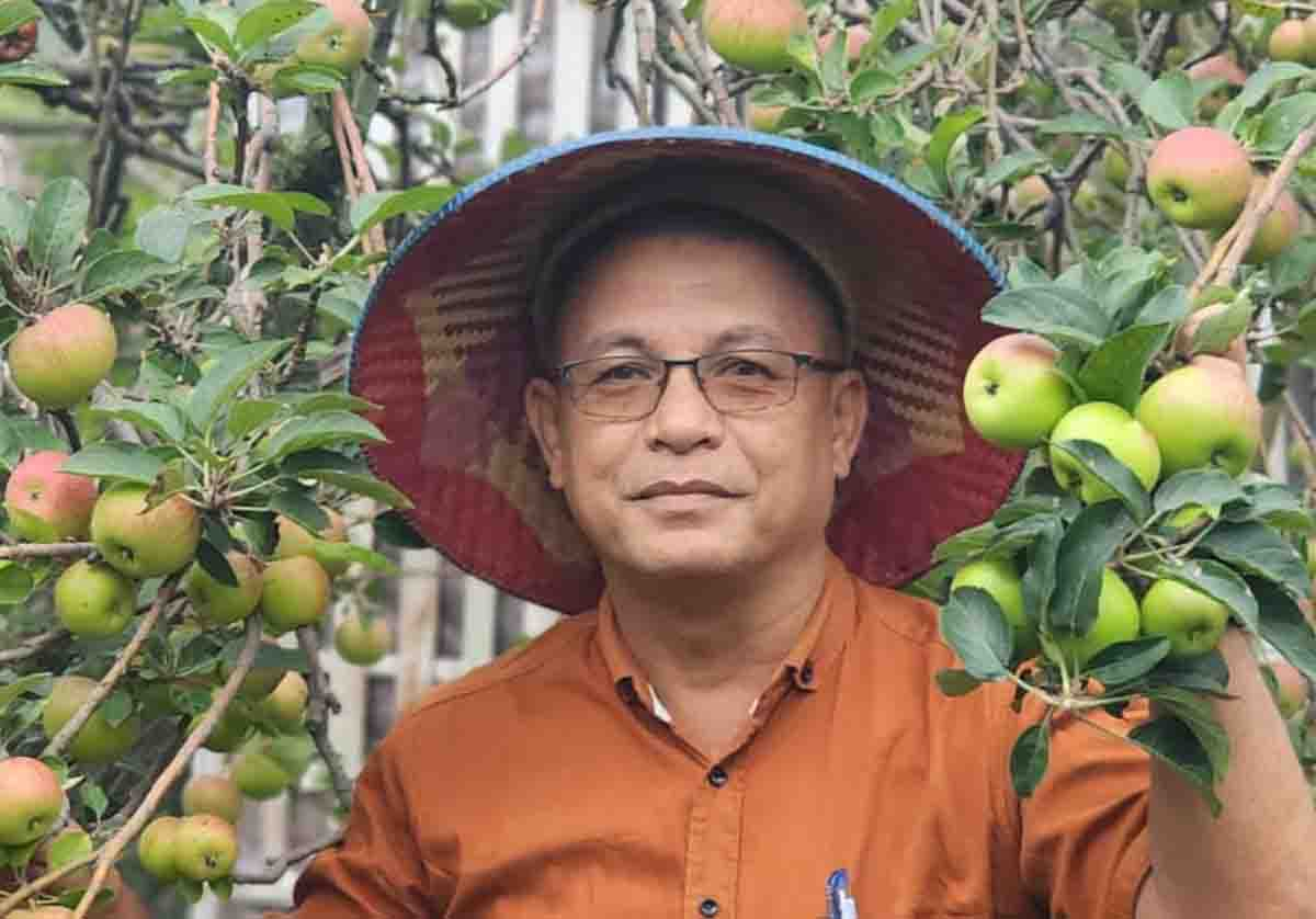 GoRiau - Hama dan Penyakit Ancam Kelapa di Riau, Ini Solusi dari Pakar ...