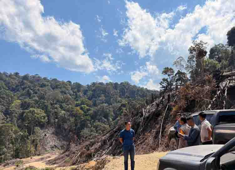 GoRiau - 10 Hektare Hutan Hangus, Warga Nekat Bakar Lahan untuk Kebun Sawit